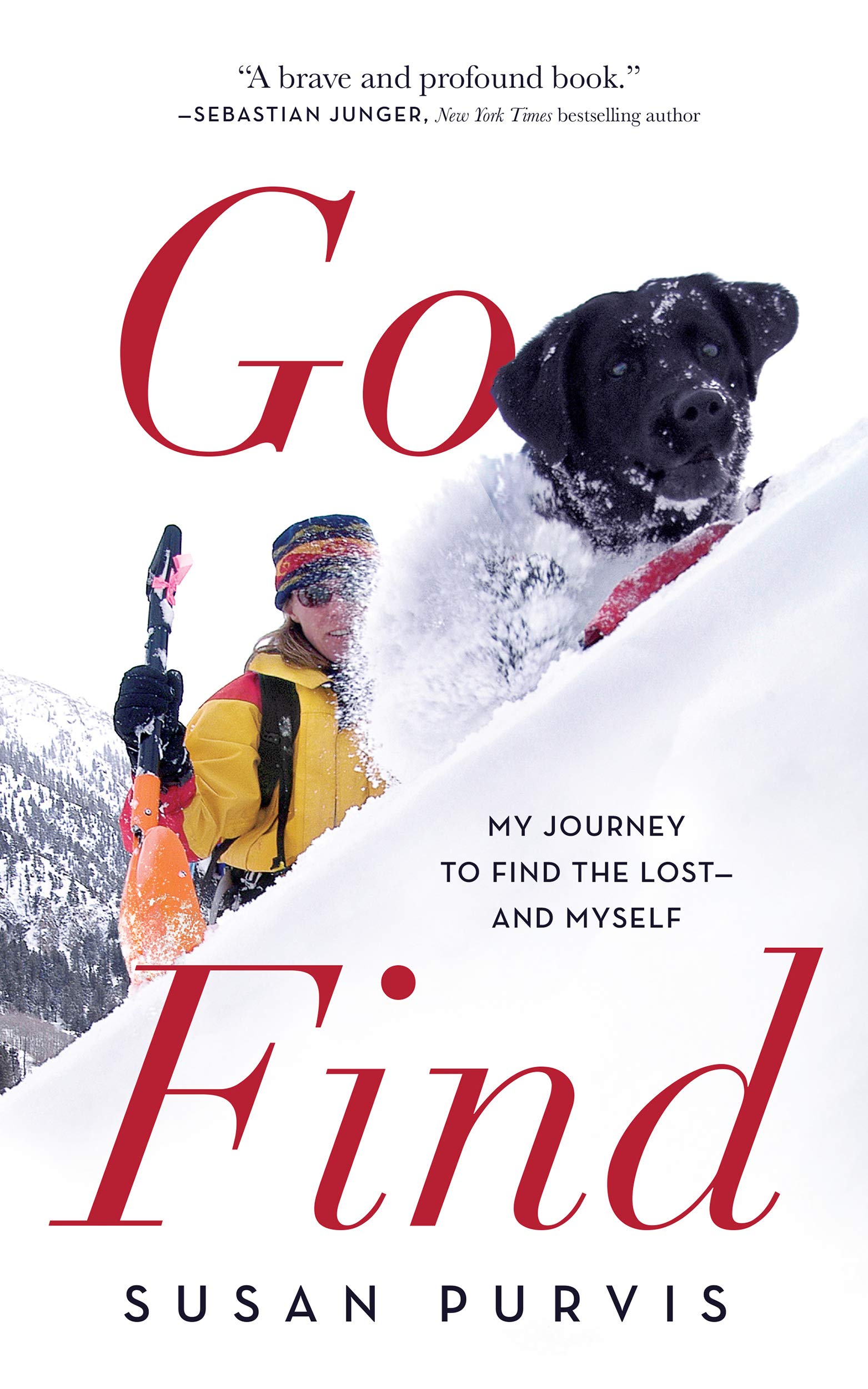 Go Find! by Susan Purvis - UP Book Review