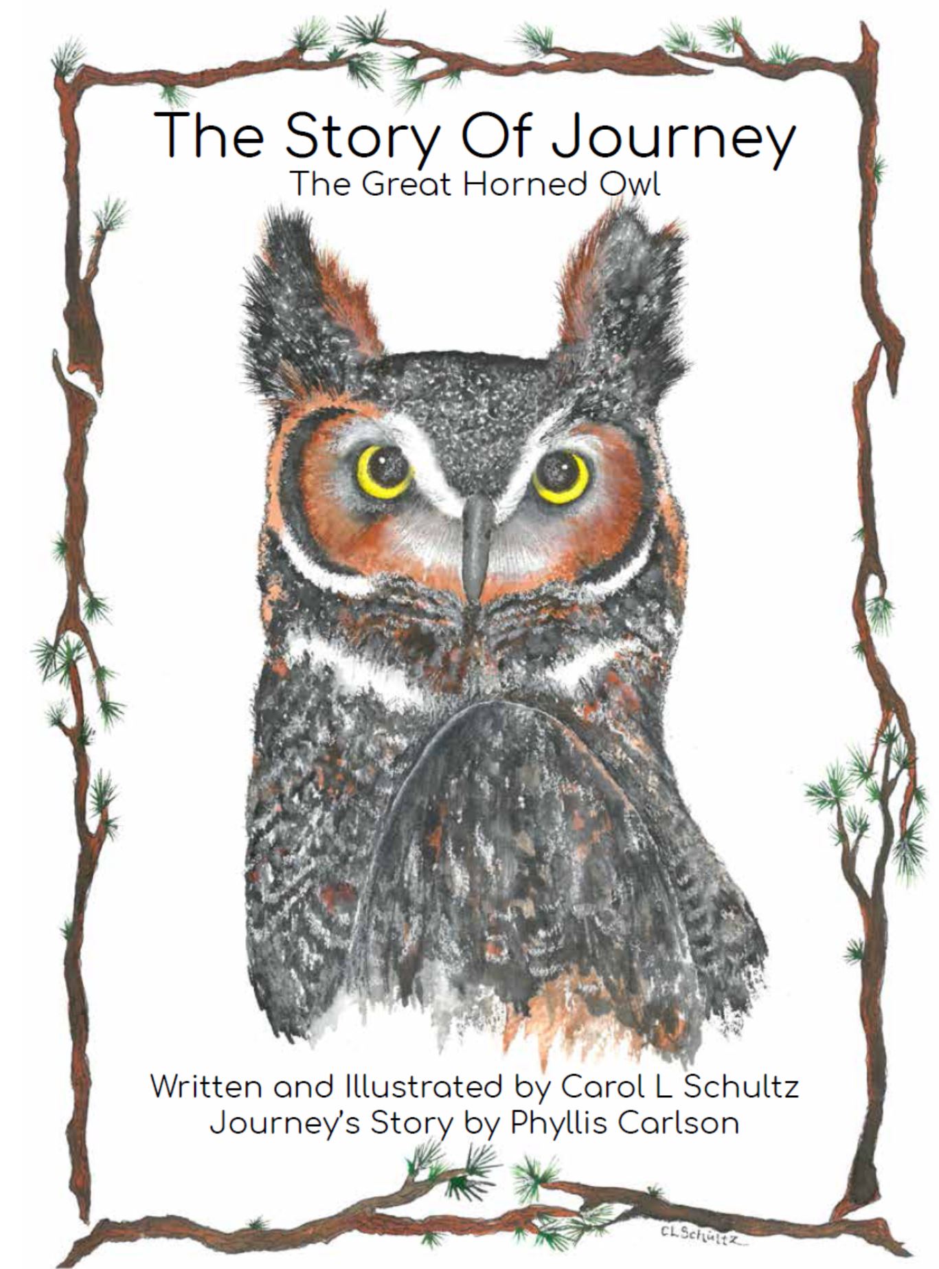 Crystal Falls Library | Crystal Falls